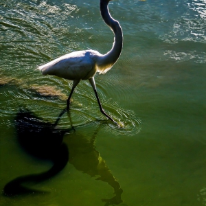 CFMB#387 - Vasara skan / Ieraksts / REplay.lv